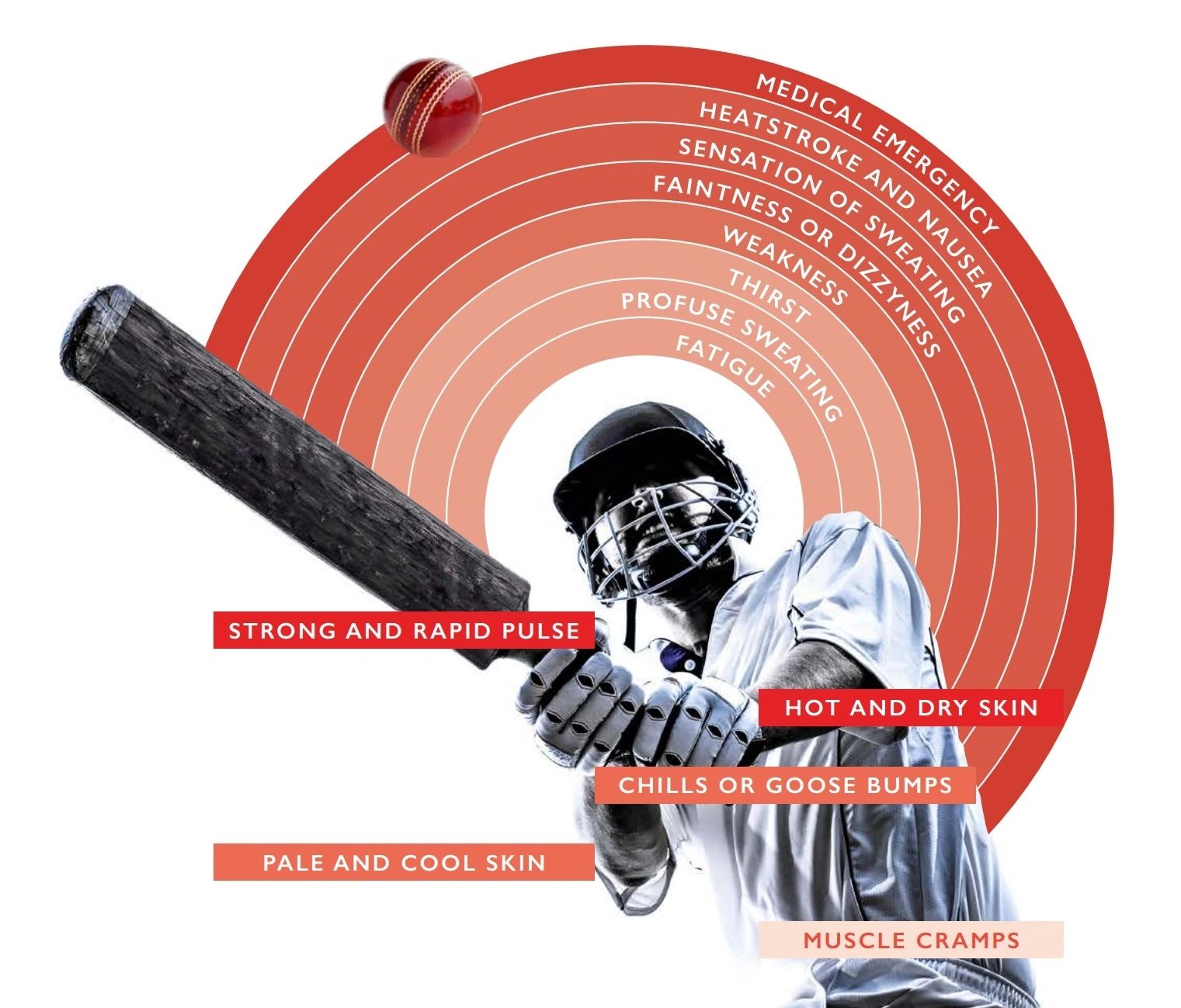 Hit For Six | A BASIS Resource